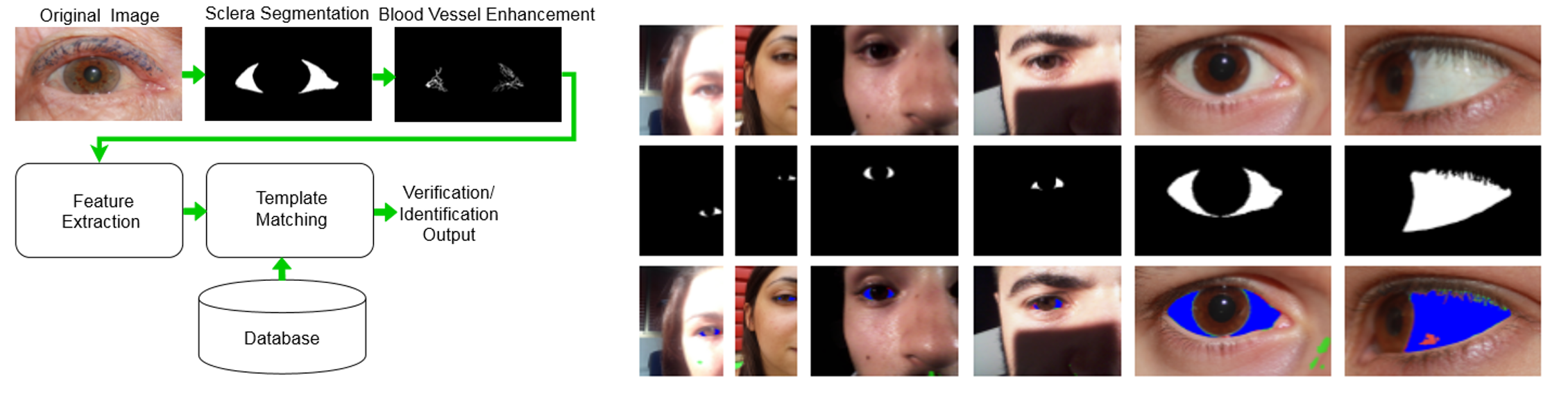 ScleraSegNet: An Attention Assisted U-Net Model for Accurate Sclera ... ScleraSegNet: An Attention Assisted U-Net Model for Accurate Sclera ...