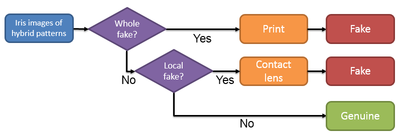 Hierarchical Multi-class Iris Classification for Liveness Detection ...